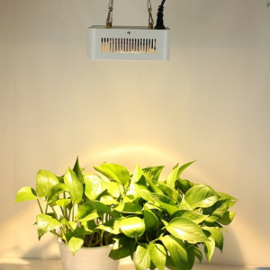 Svietidlá pre rast a pestovanie rastlín - zahradnici.sk